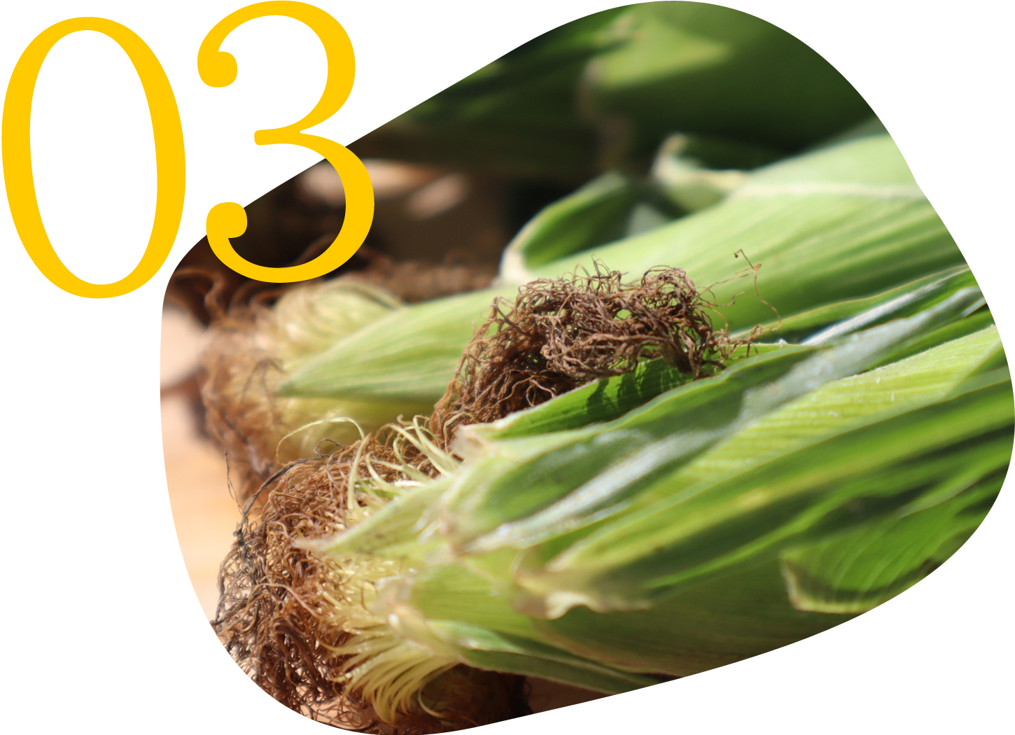 吉田さんち | 吉田さんちではこだわりのゴールドラッシュを作っています。